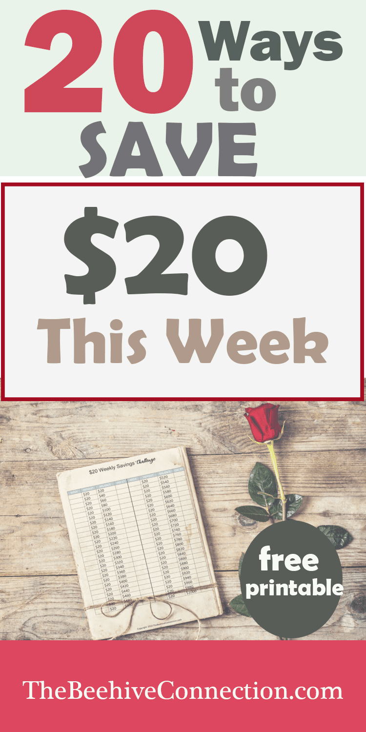 20 Ways to Save $20 This Week - The Beehive Connection