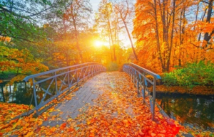 Embracing Autumn: Daily Affirmations for Fall to Balance and Brighten ...