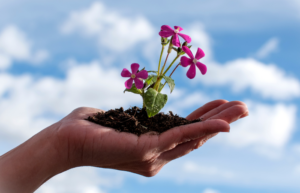 67 Ultimate March Bucket List Ideas 2024: Free Printables