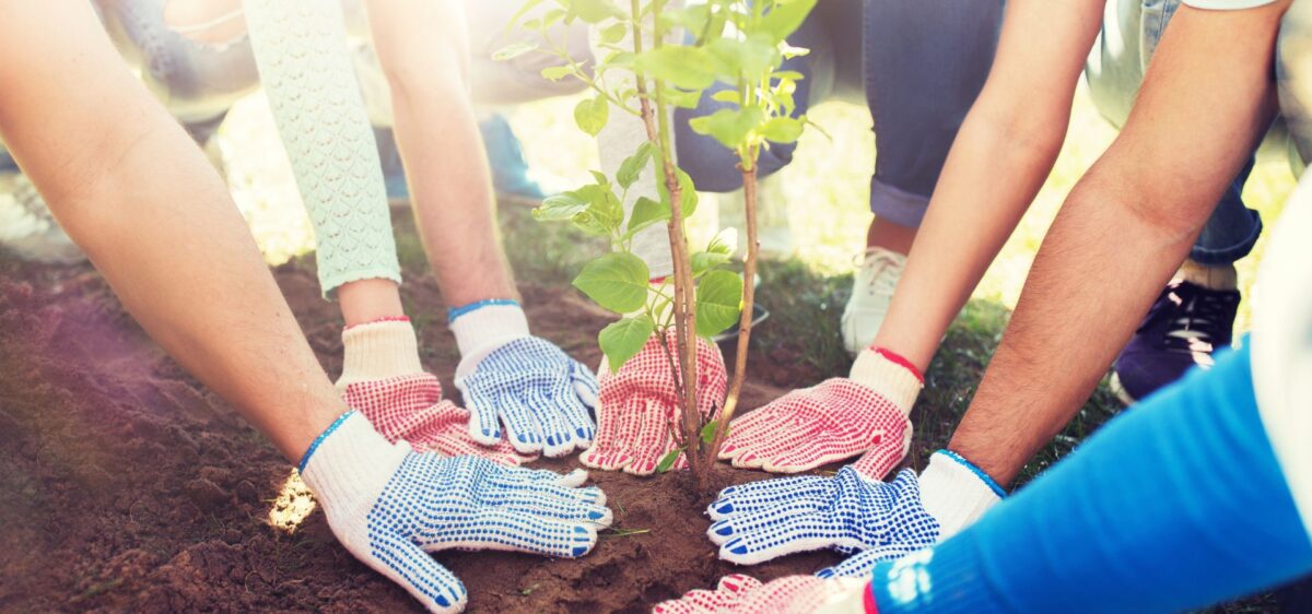 15 FREE Family Activities in Your Local Community