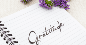 800 + A to Z Gratitude List: 800 + Ways to Find Joy in 2024